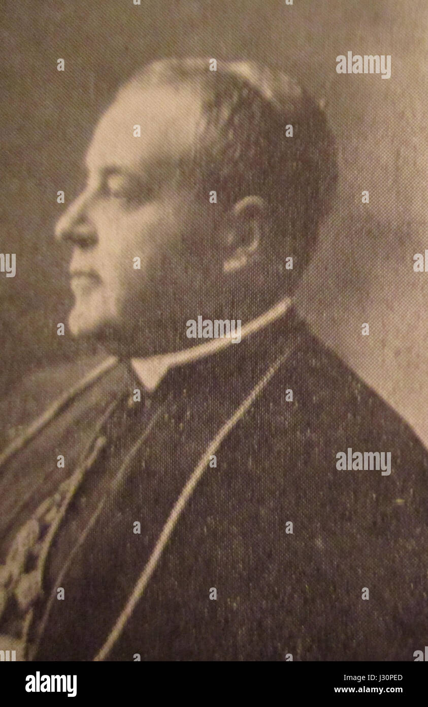 Cardinal gasparri hi-res stock photography and images - Alamy