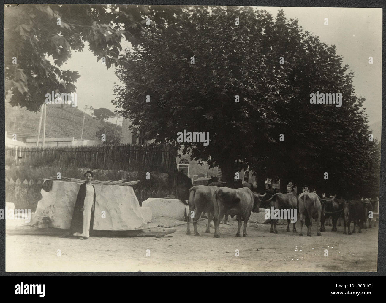 Adelaide Johnson, an American sculptor, is depicted standing in front ...