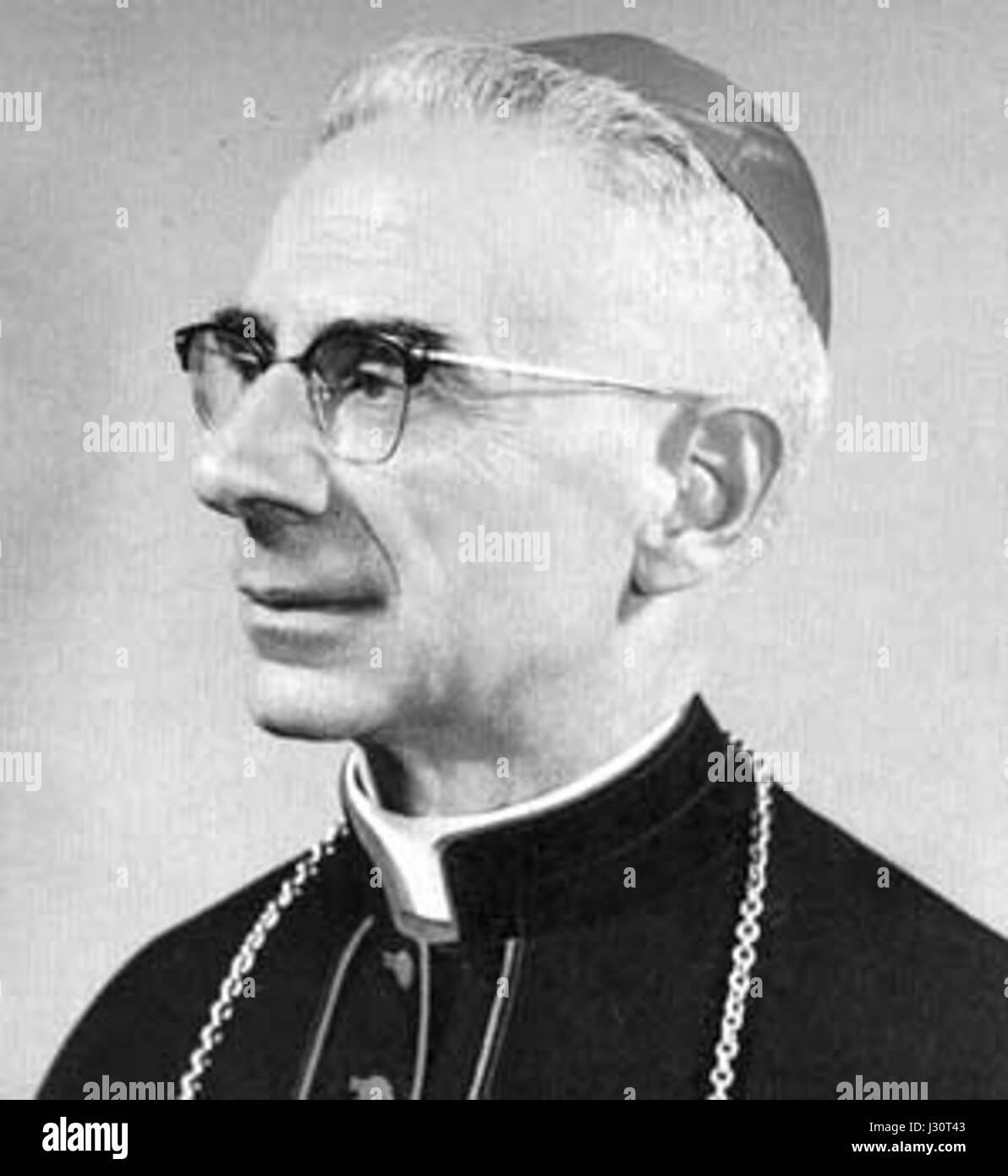 Carpino hi-res stock photography and images - Alamy