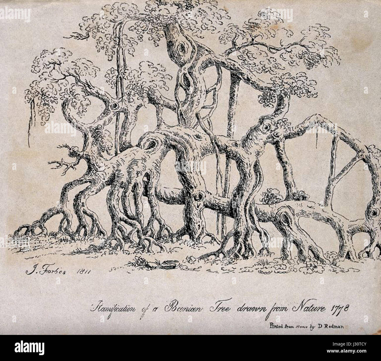 1811 after hi-res stock photography and images - Alamy