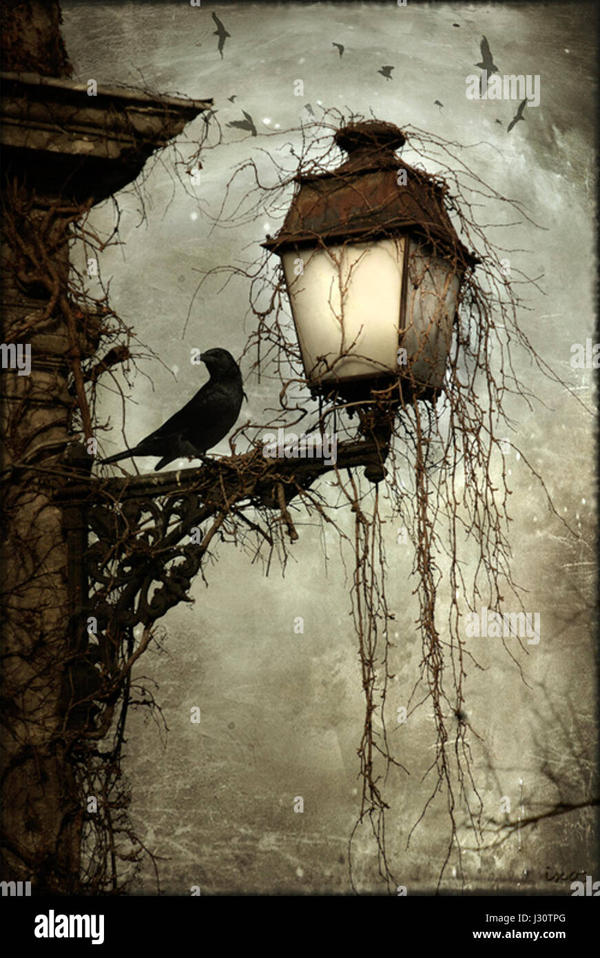 This artwork or photograph titled 'Bird on a lantern' captures the ...