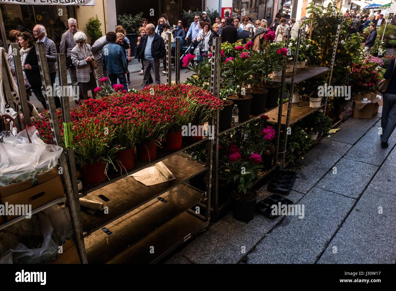 Displaying of flowers and other botanical plants at 'Invasioni ...