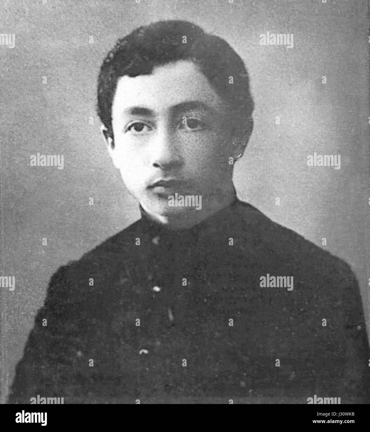 Aslan drawing hi-res stock photography and images - Alamy