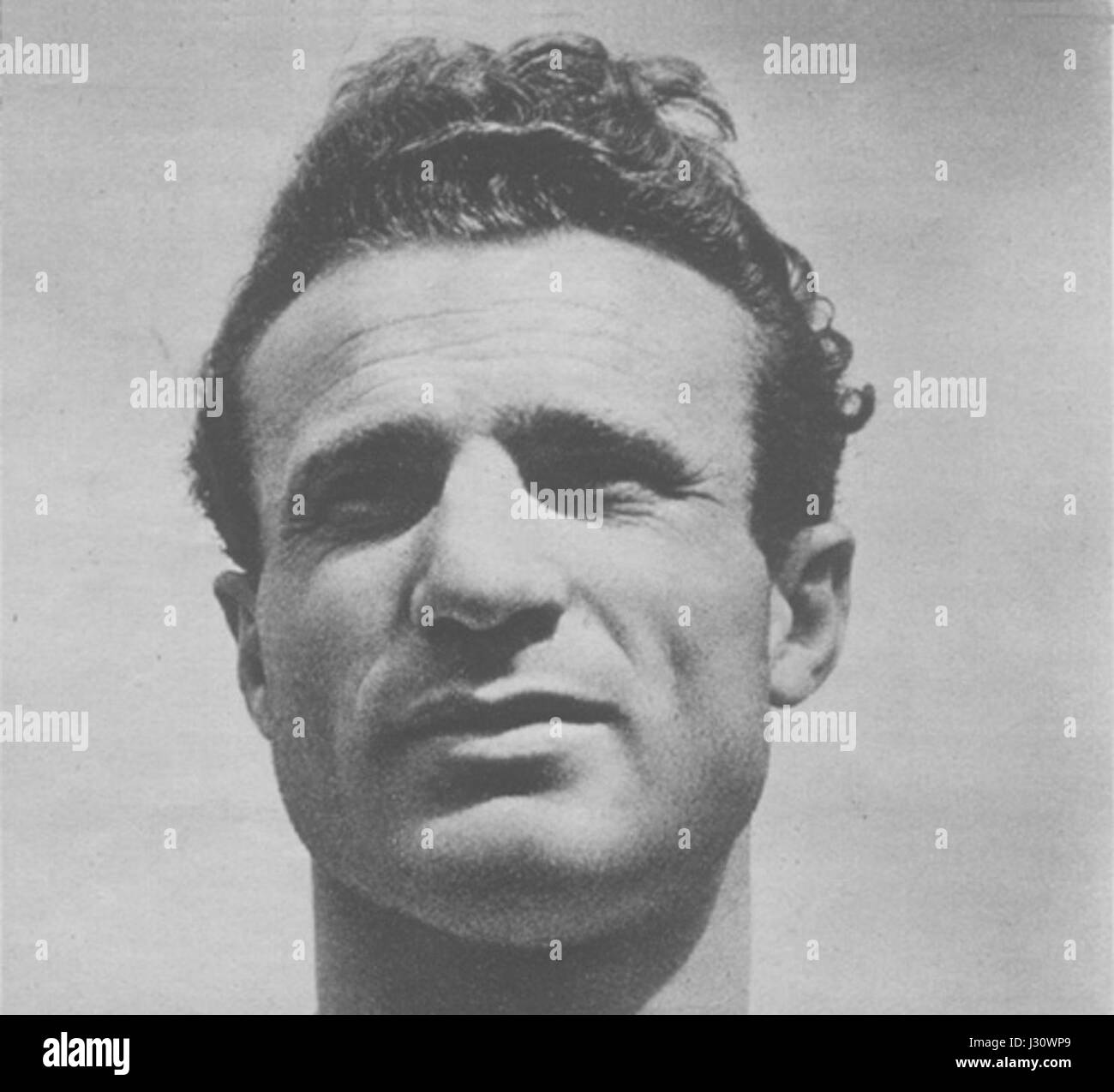 This image likely represents a 'primo piano' or close-up portrait of ...