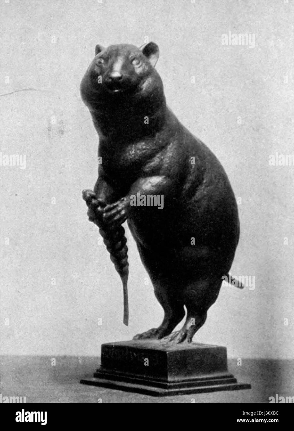 August Gaul was a German sculptor, known for his works in animal forms ...
