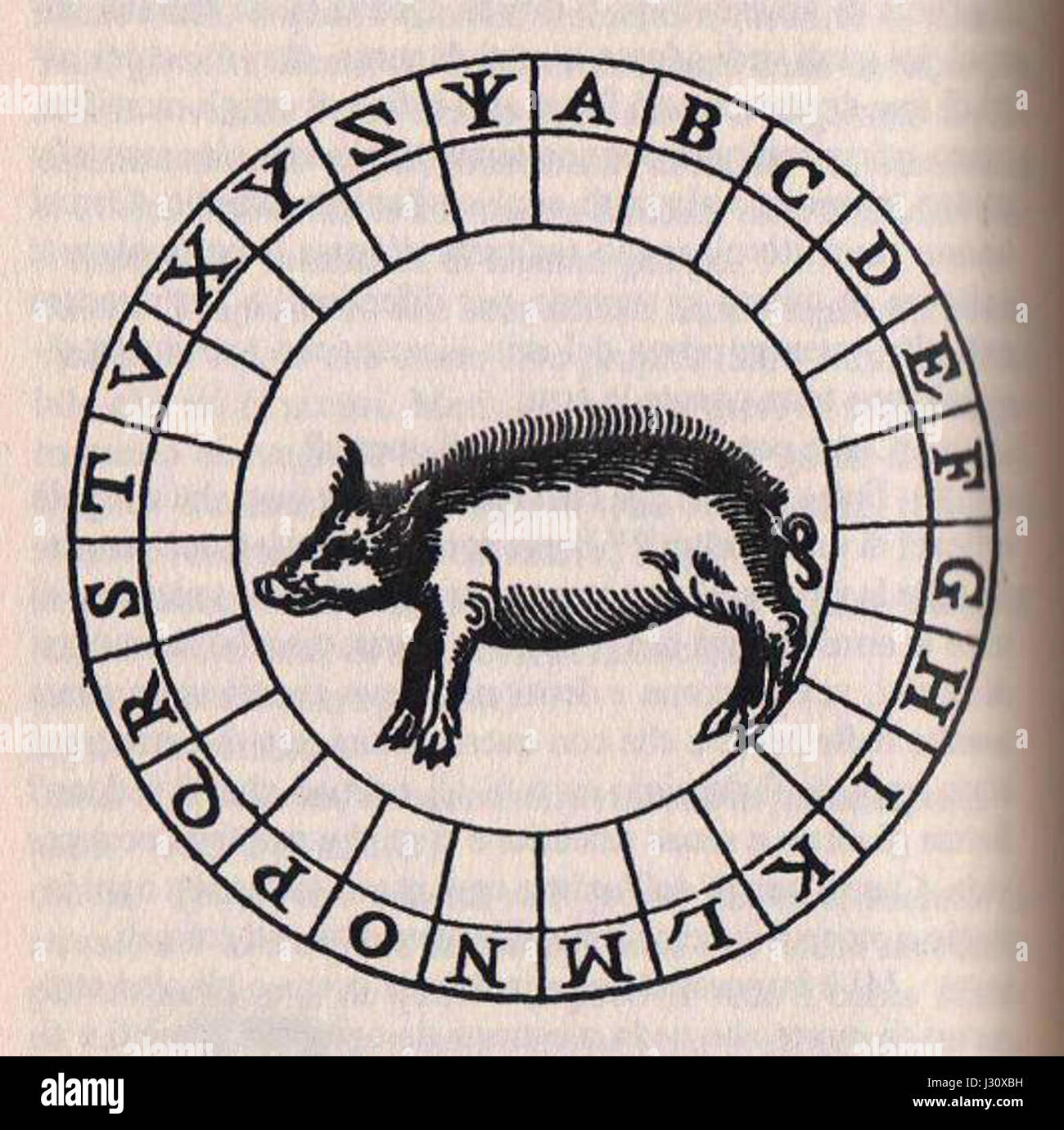 This reference points to an artwork by Bruno Circe, titled 'Porco ...