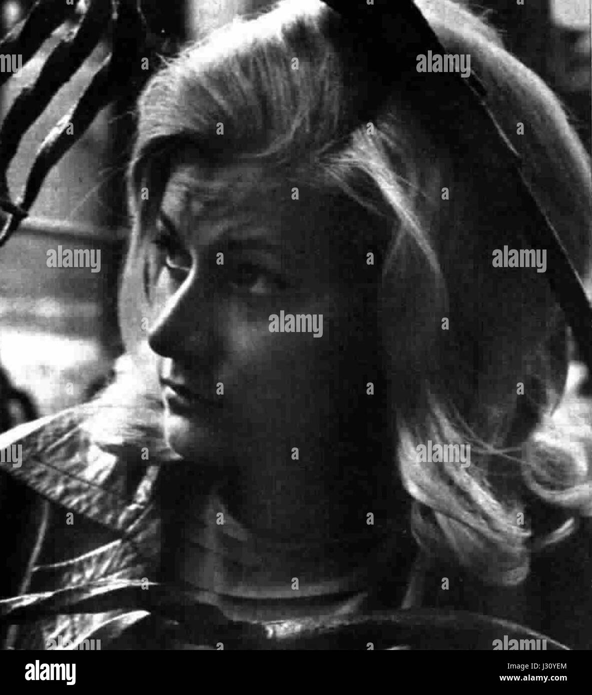 Rizzi map hi-res stock photography and images - Alamy