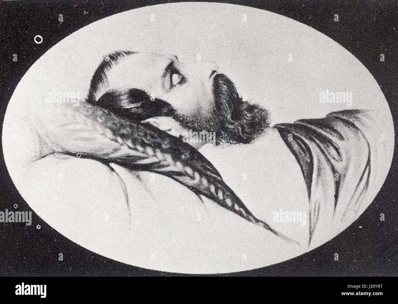 Carl XV of Sweden, born in 1826, reigned as king from 1859 until his ...