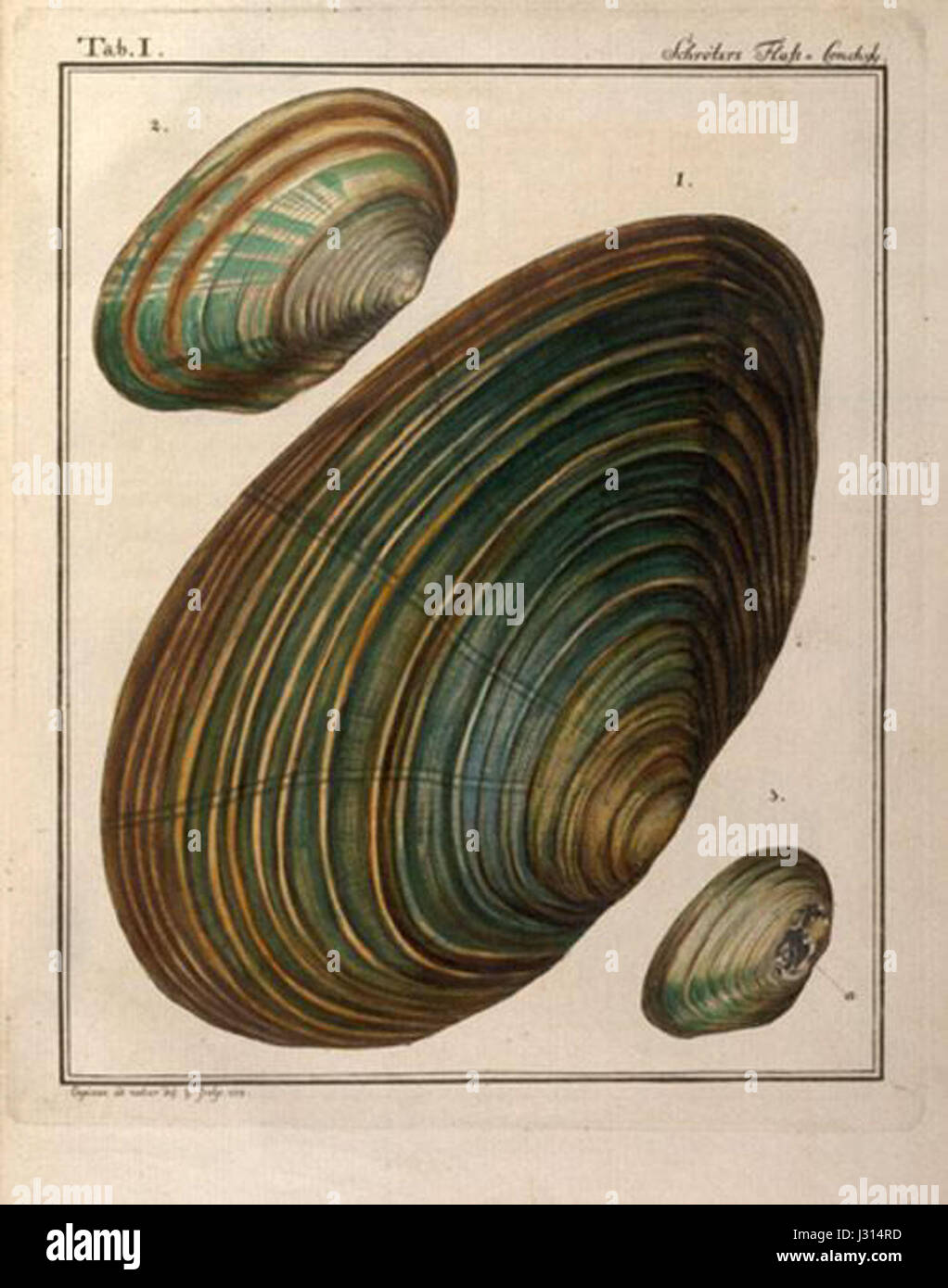 Bioassessment hi-res stock photography and images - Alamy