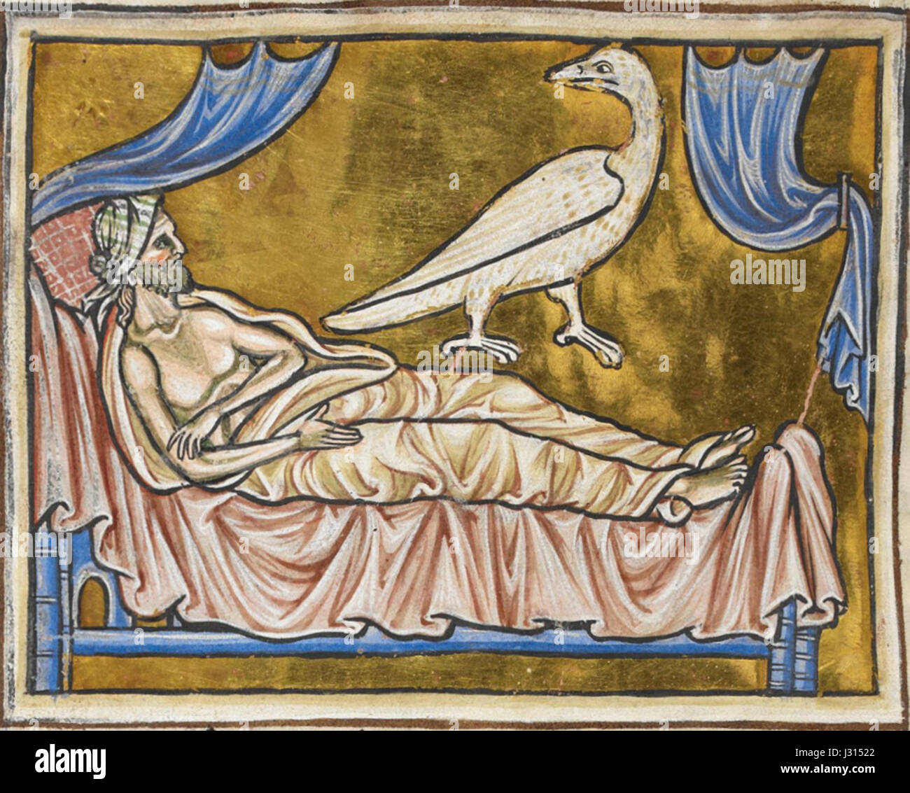 Caladrius royal MS 12 Stock Photo - Alamy