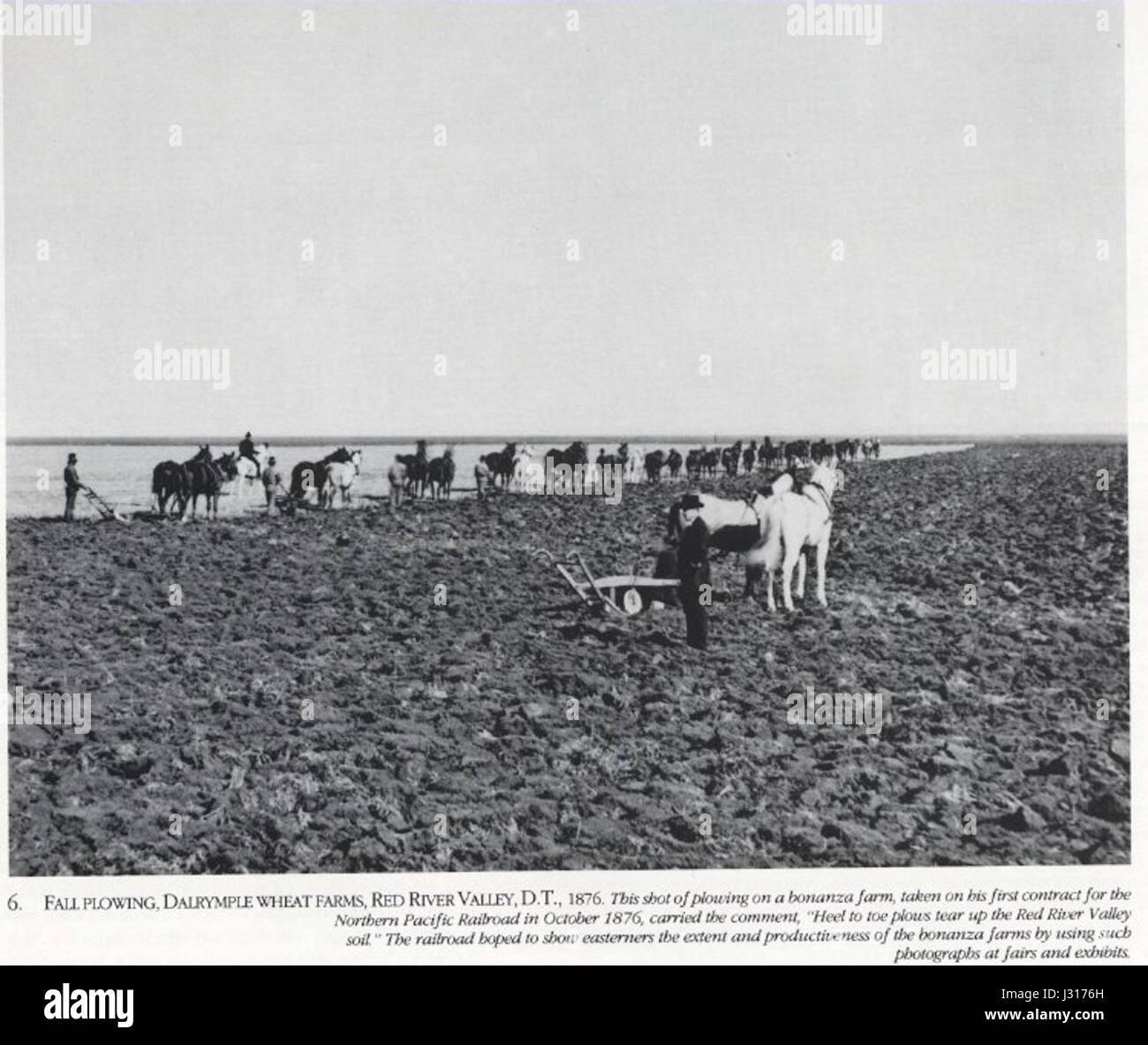 Bonanza farms hi-res stock photography and images - Alamy