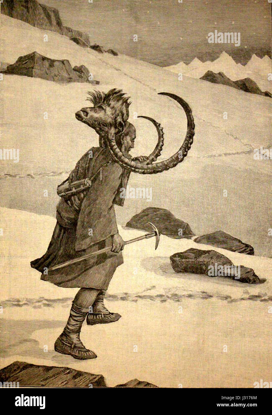 This artwork or illustration, titled 'Bringing Ibex Head', likely ...