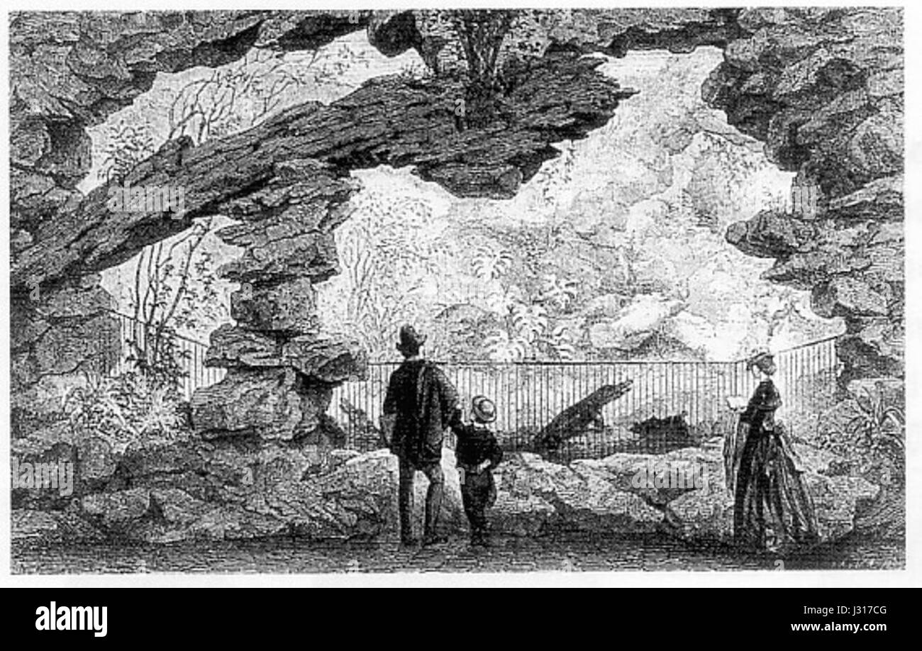 Aquarium conservation Black and White Stock Photos & Images - Alamy