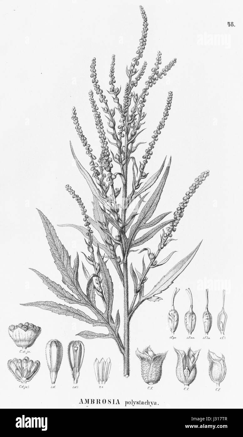 Resilience study Black and White Stock Photos & Images - Alamy