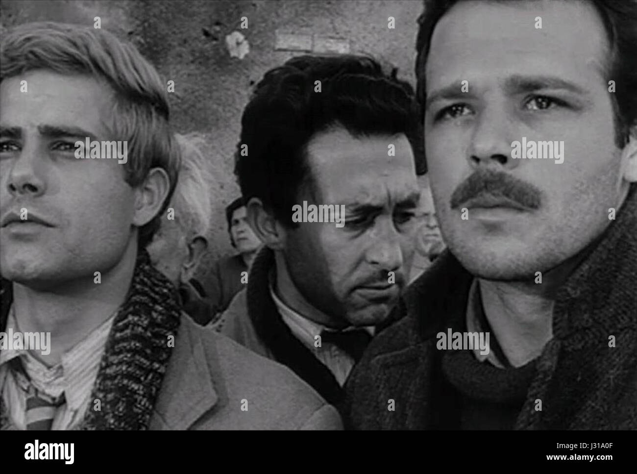 Un giorno da leoni (A Day of Lions) is an Italian film that captures ...