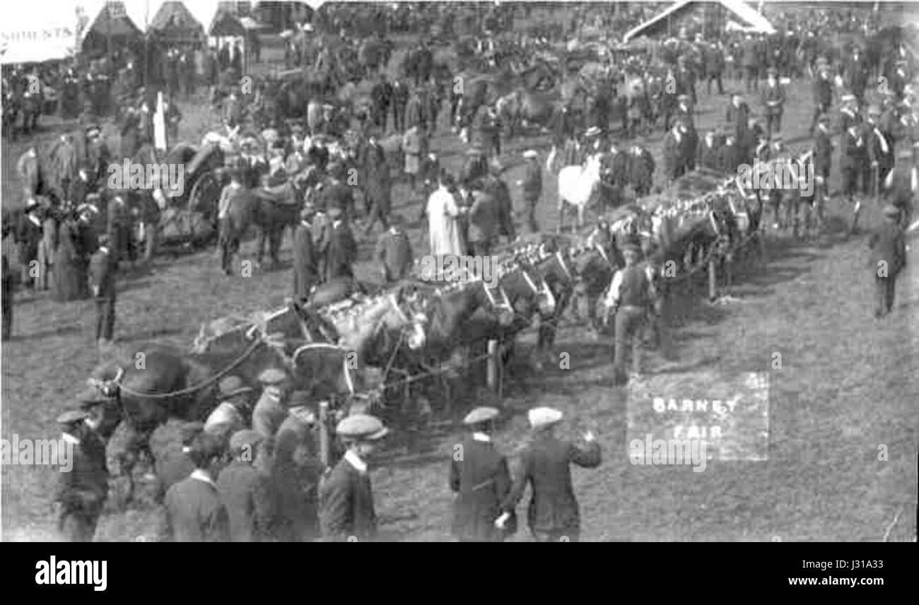Historic horse fairs hi-res stock photography and images - Alamy