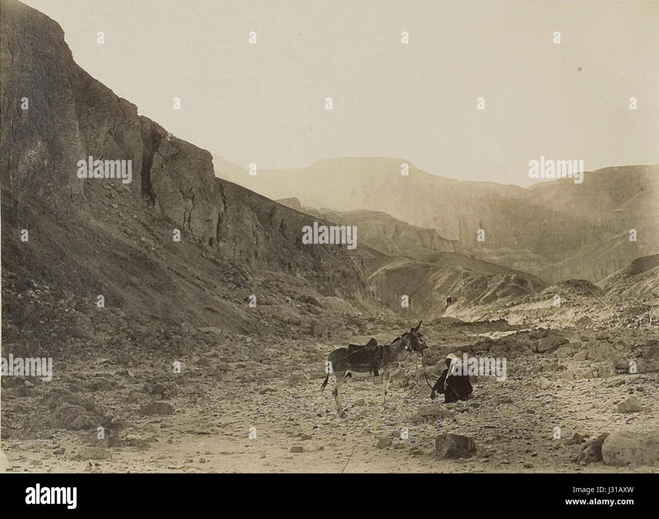 The photograph captures an important moment from the discovery of King ...