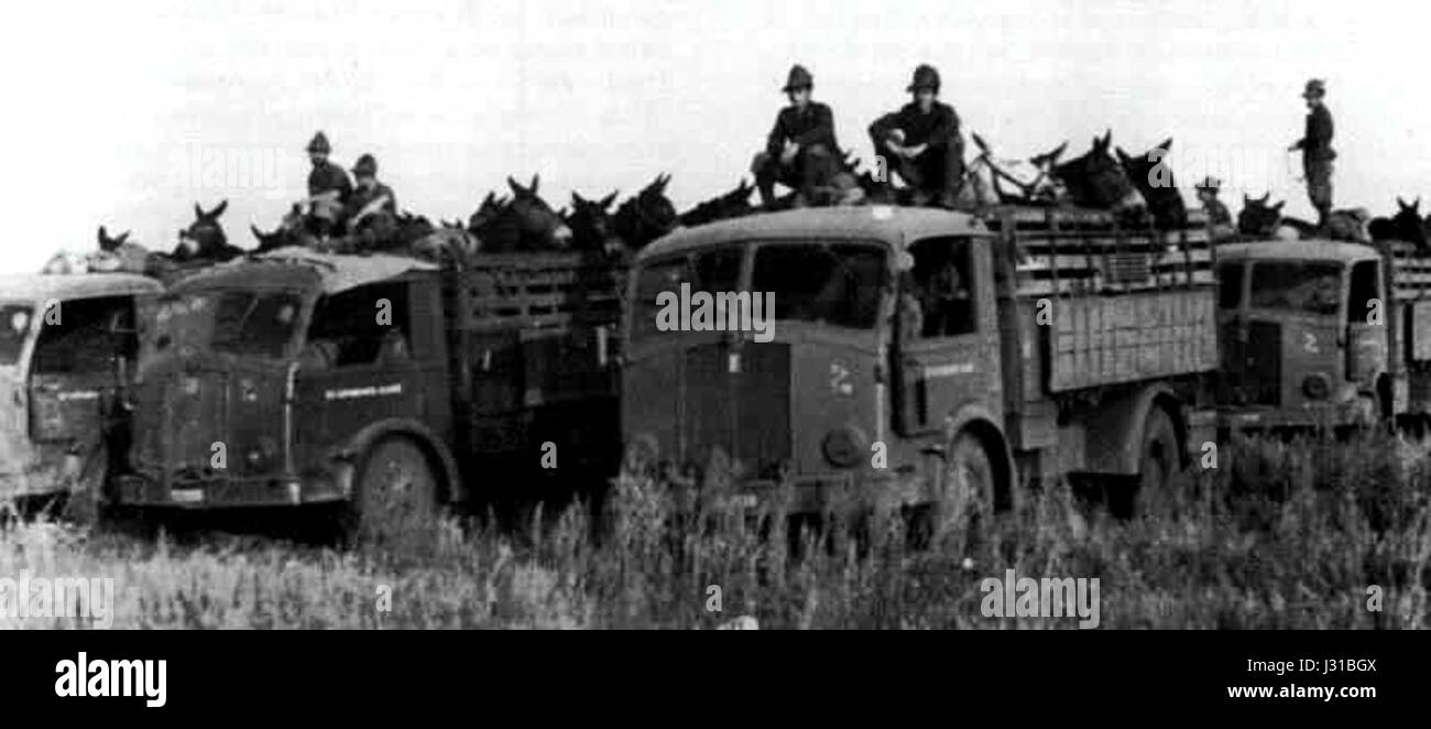 The Fiat 666nm quadrupedi was a military vehicle produced by Fiat ...