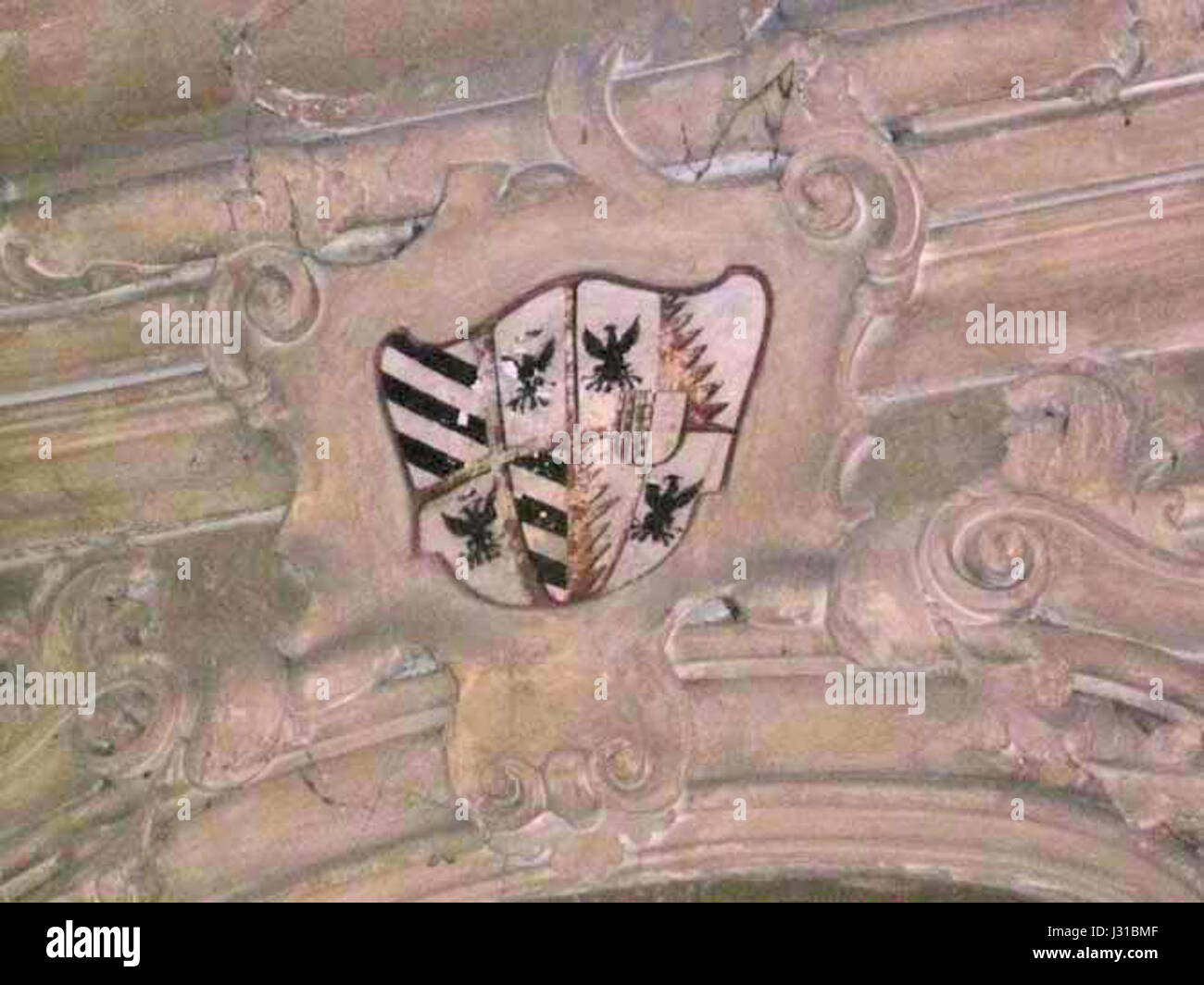 Stemma stemma hi-res stock photography and images - Alamy