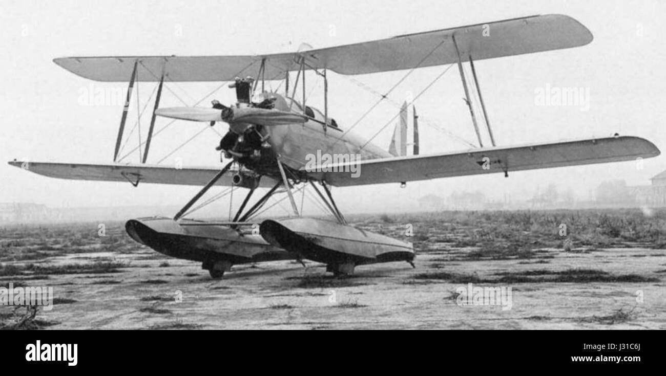 The Caproni Ca.100 idro, equipped with the Farina T58 engine, was an ...