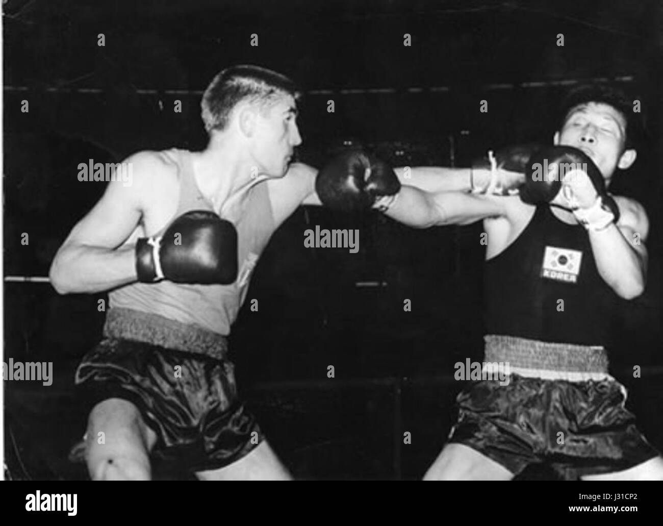 Italian boxer hi-res stock photography and images - Alamy