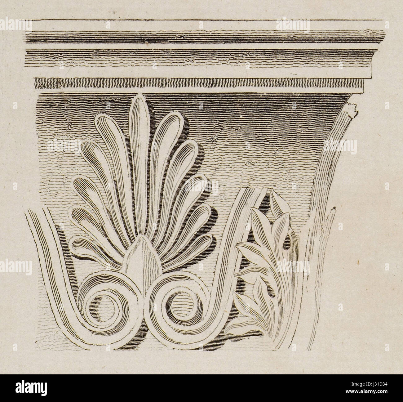 Architectural feature of ancient column - Stuart James & Revett ... Architectural feature of ancient column - Stuart James & Revett ...