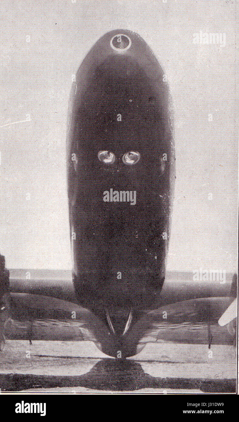 This image shows a detailed view of the Savoia Marchetti S.84 aircraft ...