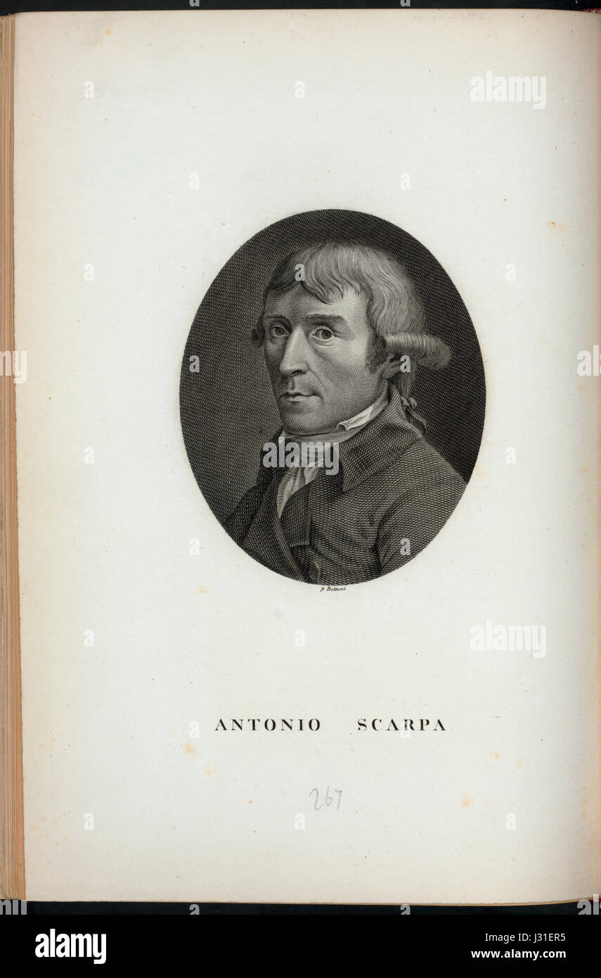 Antonio Scarpa was an influential Italian anatomist known for his ...