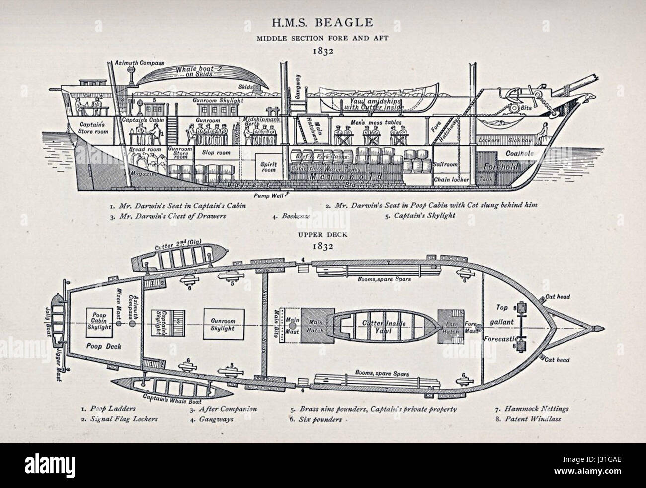 Beagle - plan 1832 Stock Photo - Alamy