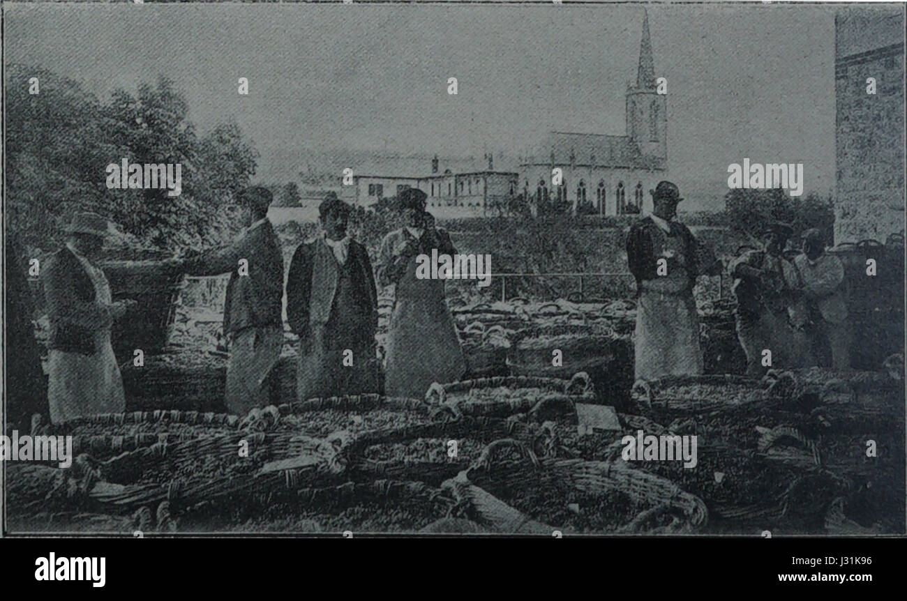 This image depicts the village of Avize in front of a traditional wine ...