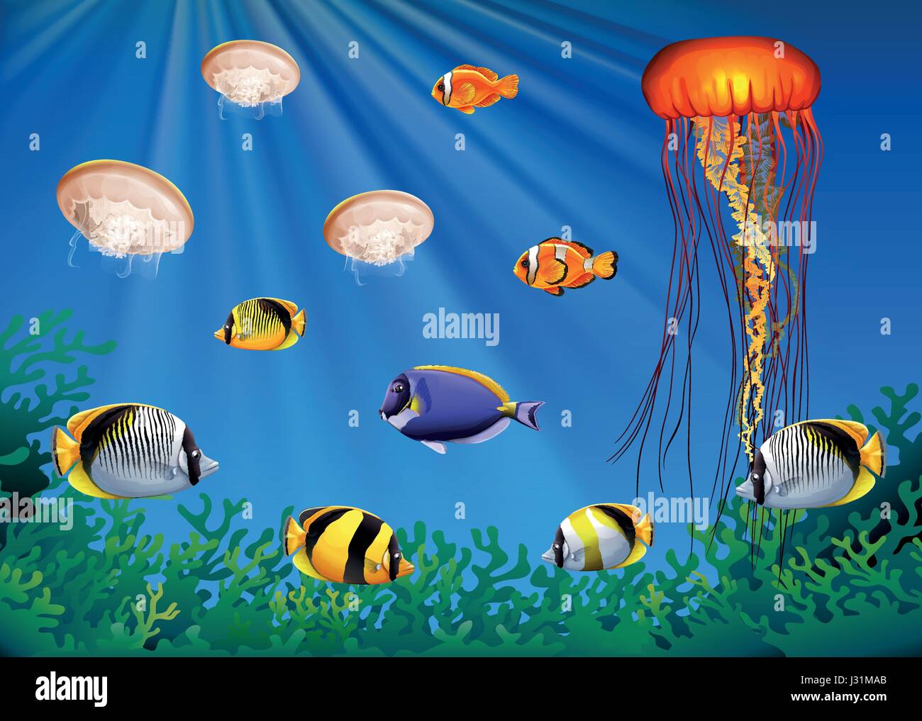 Sea animals swimming under the sea illustration Stock Vector Image ...