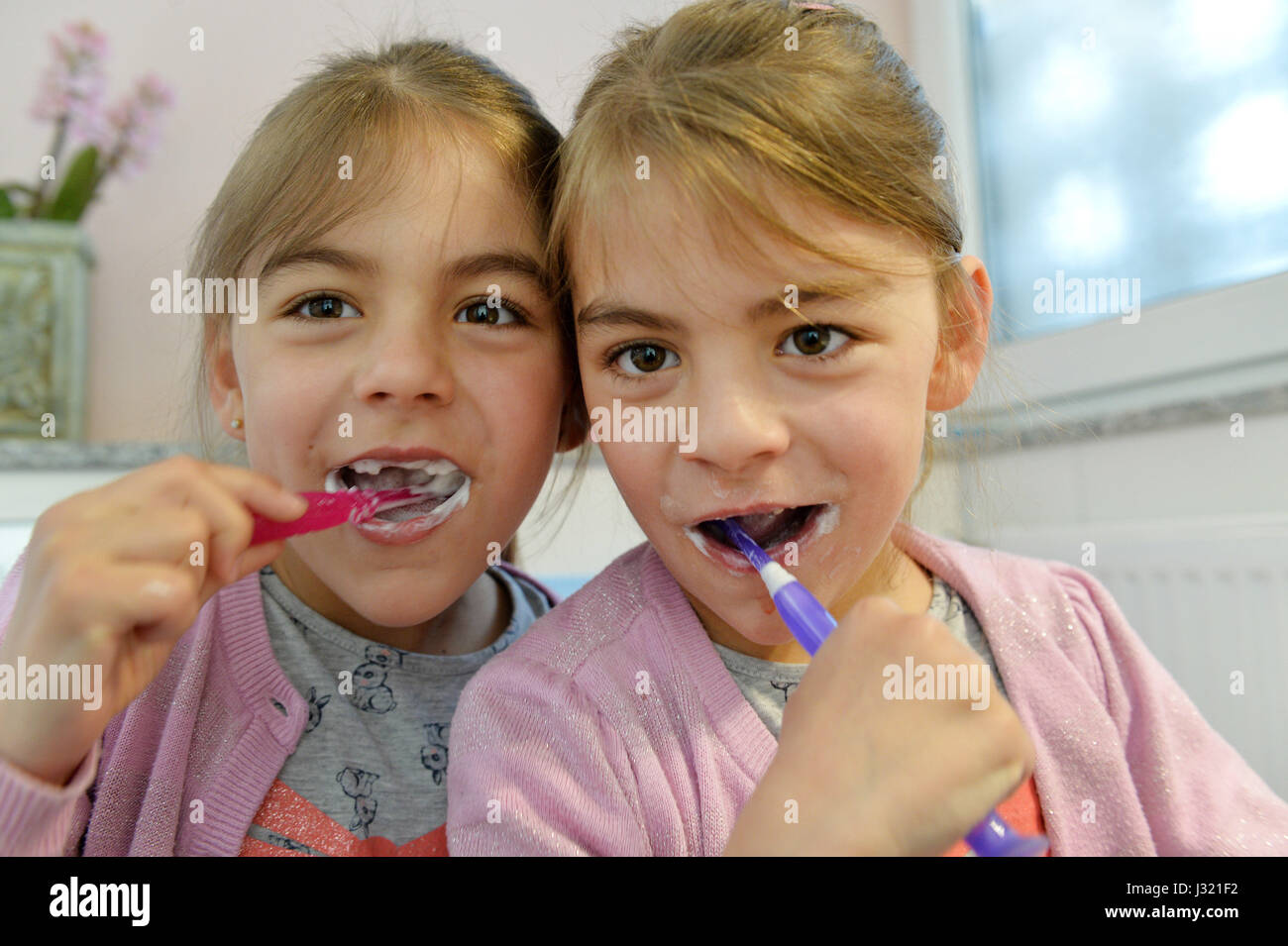 Osterode, Germany. 24th Apr, 2017. Twin girls brushing their teeth ...