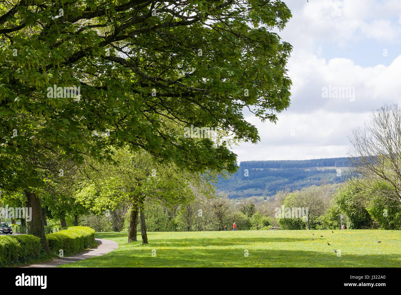 Thomastown Park, Merthyr Tydfil, South Wales. 2nd May 2017. UK weather ...