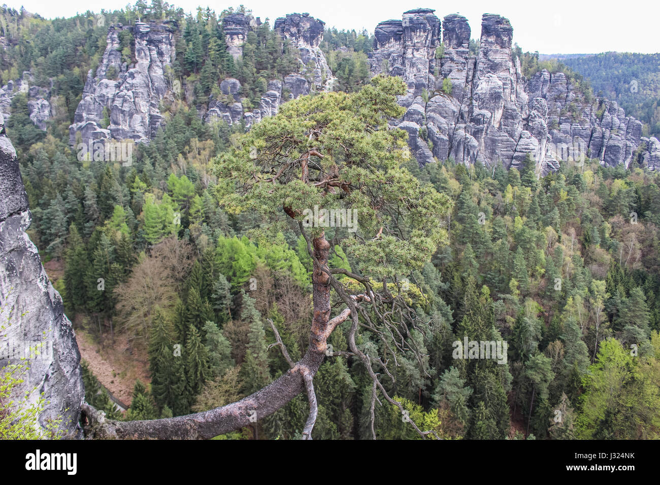 Bastei, Germany. 01st May, 2017. People enjoy warm, but windy weather ...