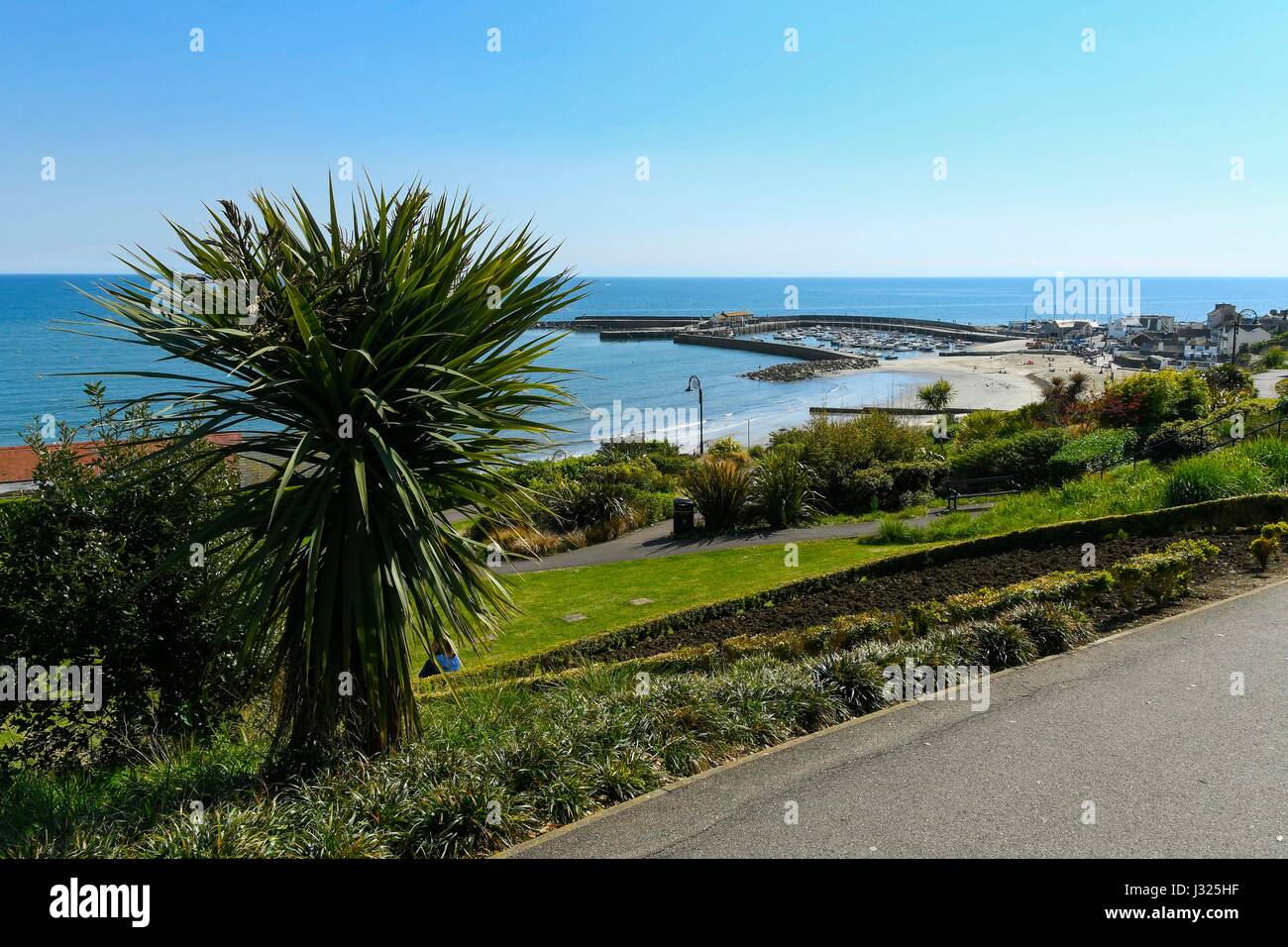 Lyme Regis, Dorset, UK. 2nd May 2017. UK Weather. Langmoor Gardens with ...