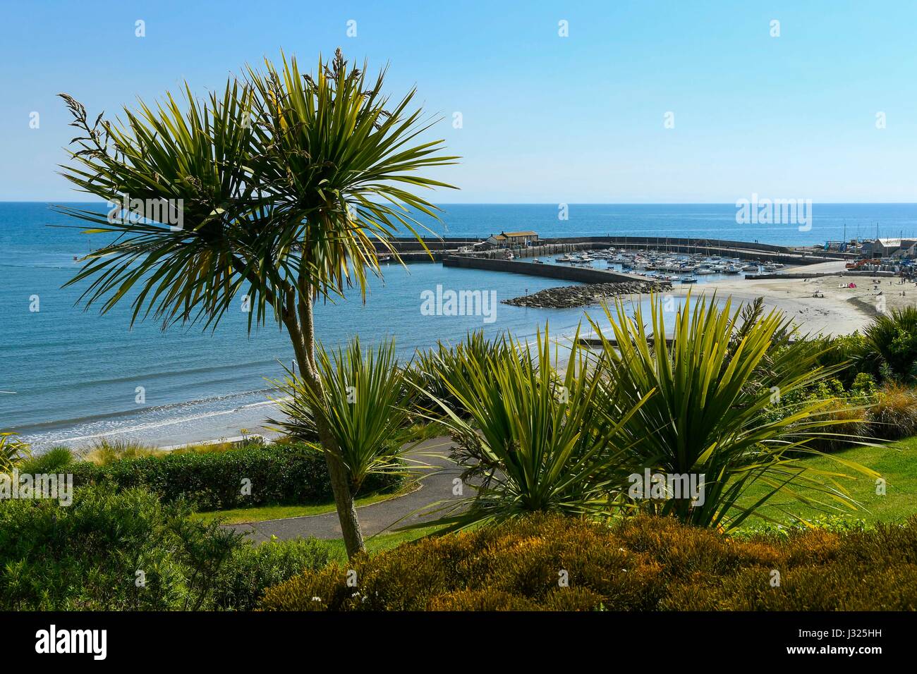 Lyme Regis, Dorset, UK. 2nd May 2017. UK Weather. Langmoor Gardens with ...