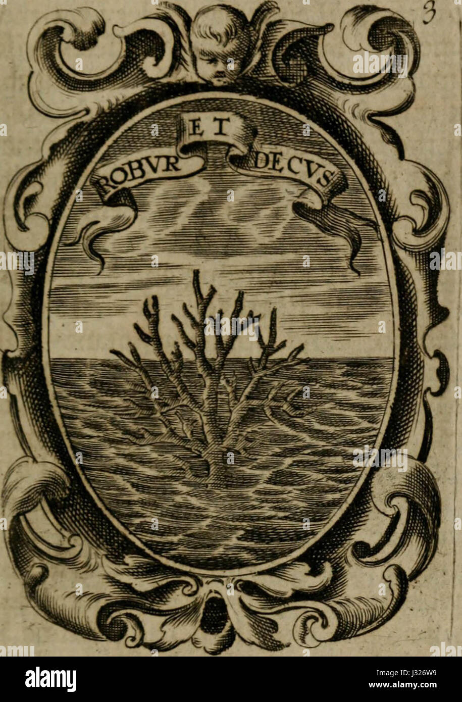 The royal politician represented in one hundred emblems" (1700 Stock ...