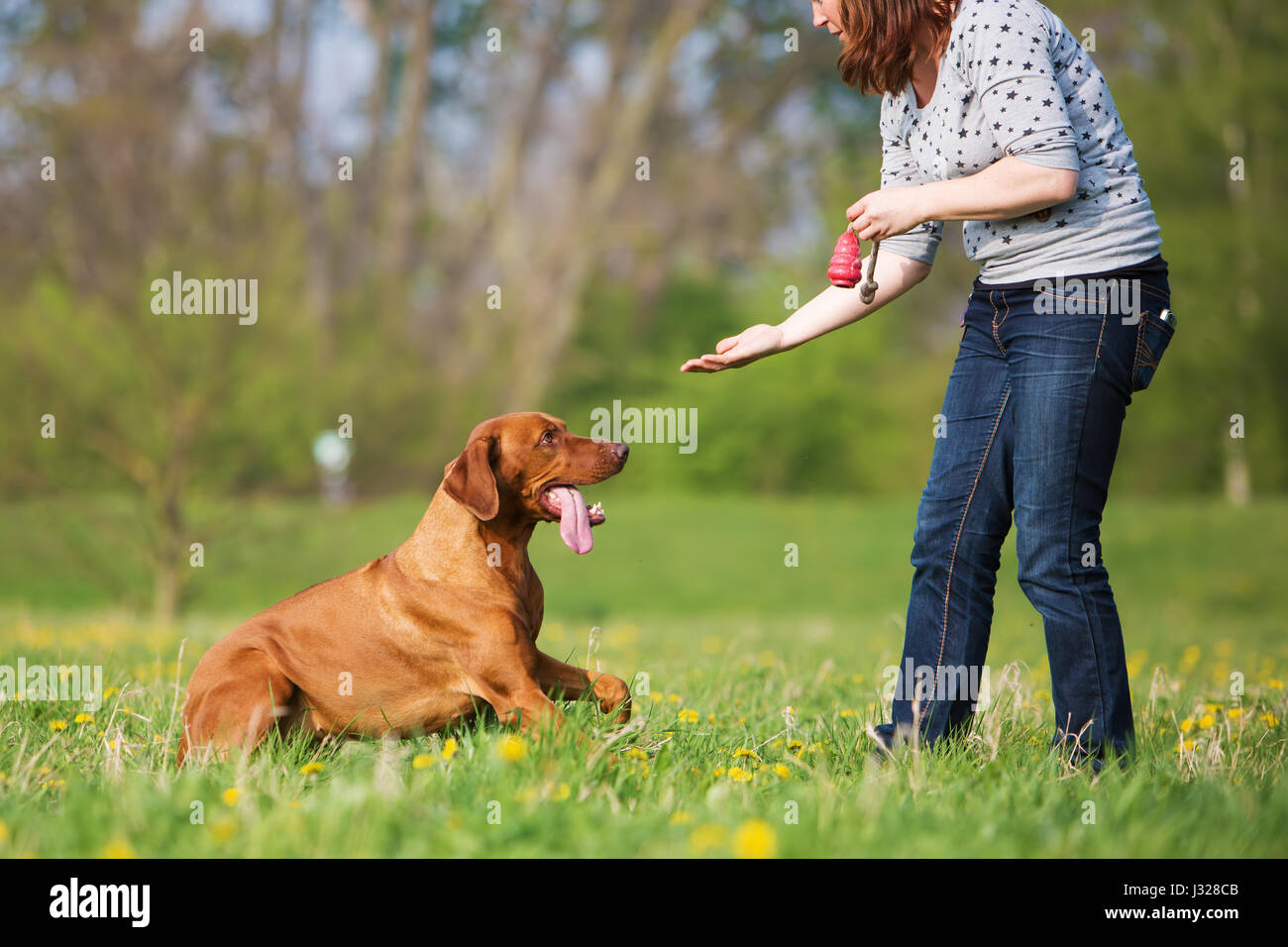 Woman rhodesian ridgeback hi-res stock photography and images - Alamy