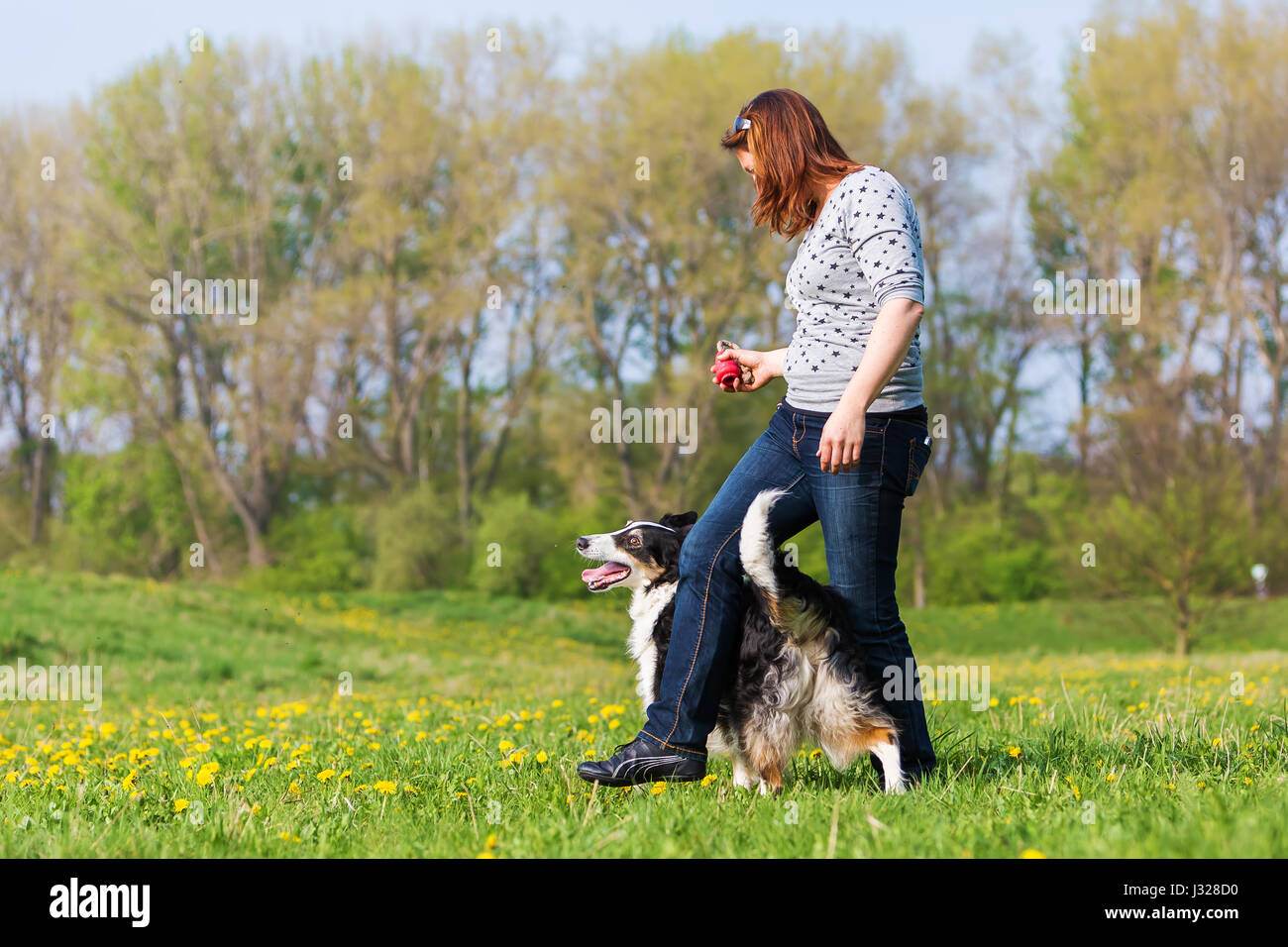Dancing dog together hi-res stock photography and images - Alamy