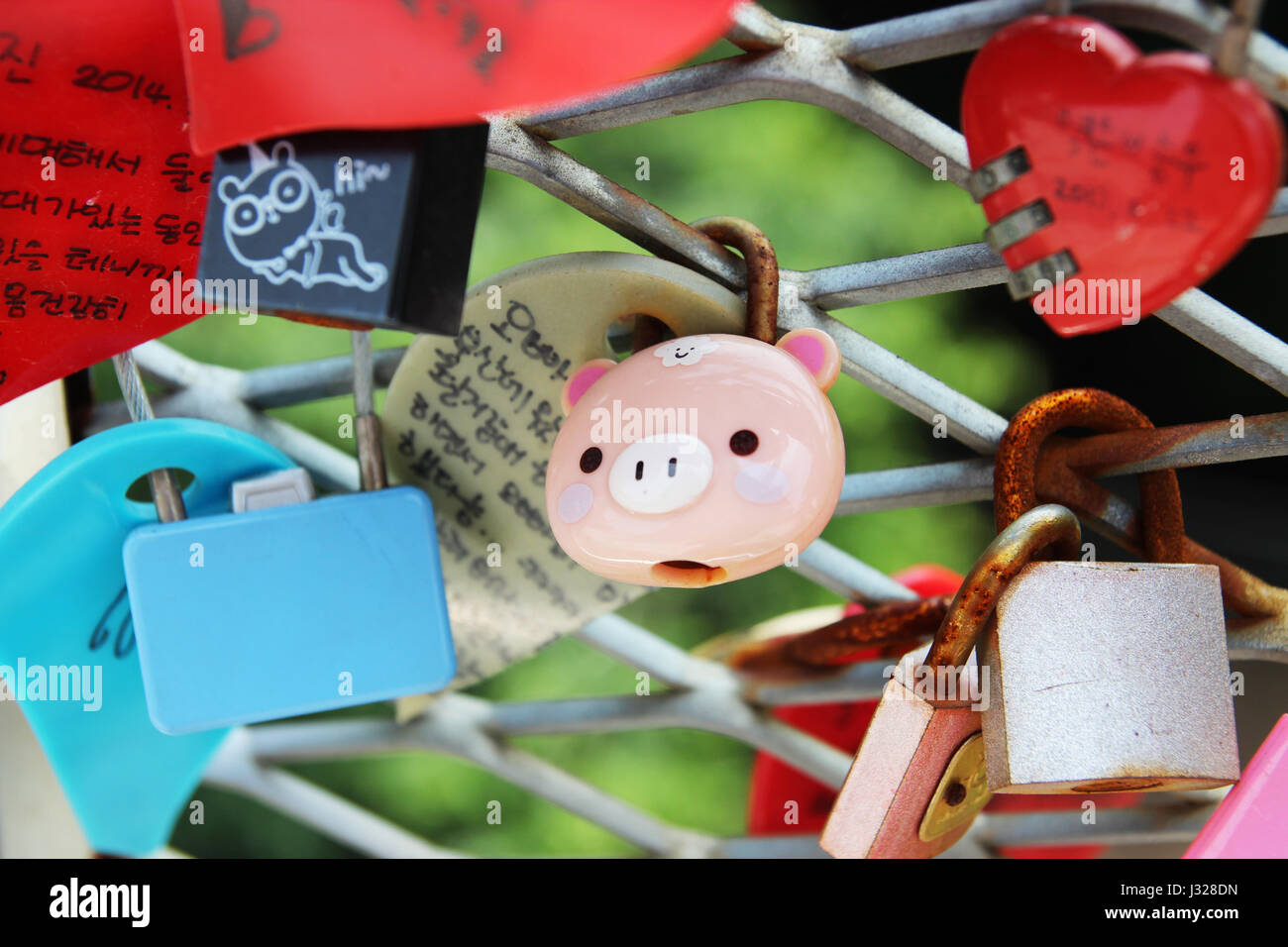 Pig lock hi-res stock photography and images - Alamy