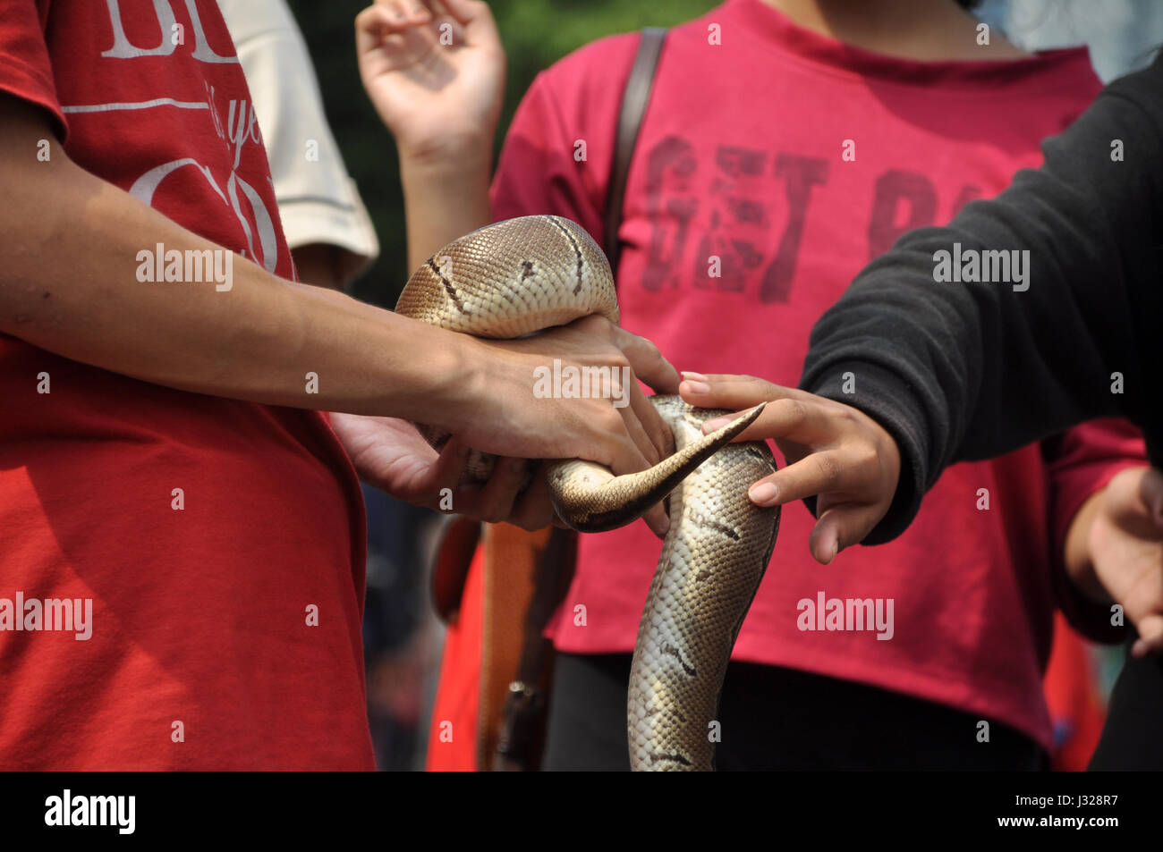 Human snake tongue hi-res stock photography and images - Alamy