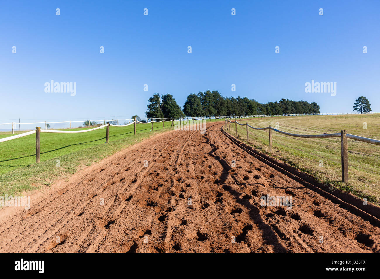 Race horse training sand and grass tracks morning landscape Stock Photo ...
