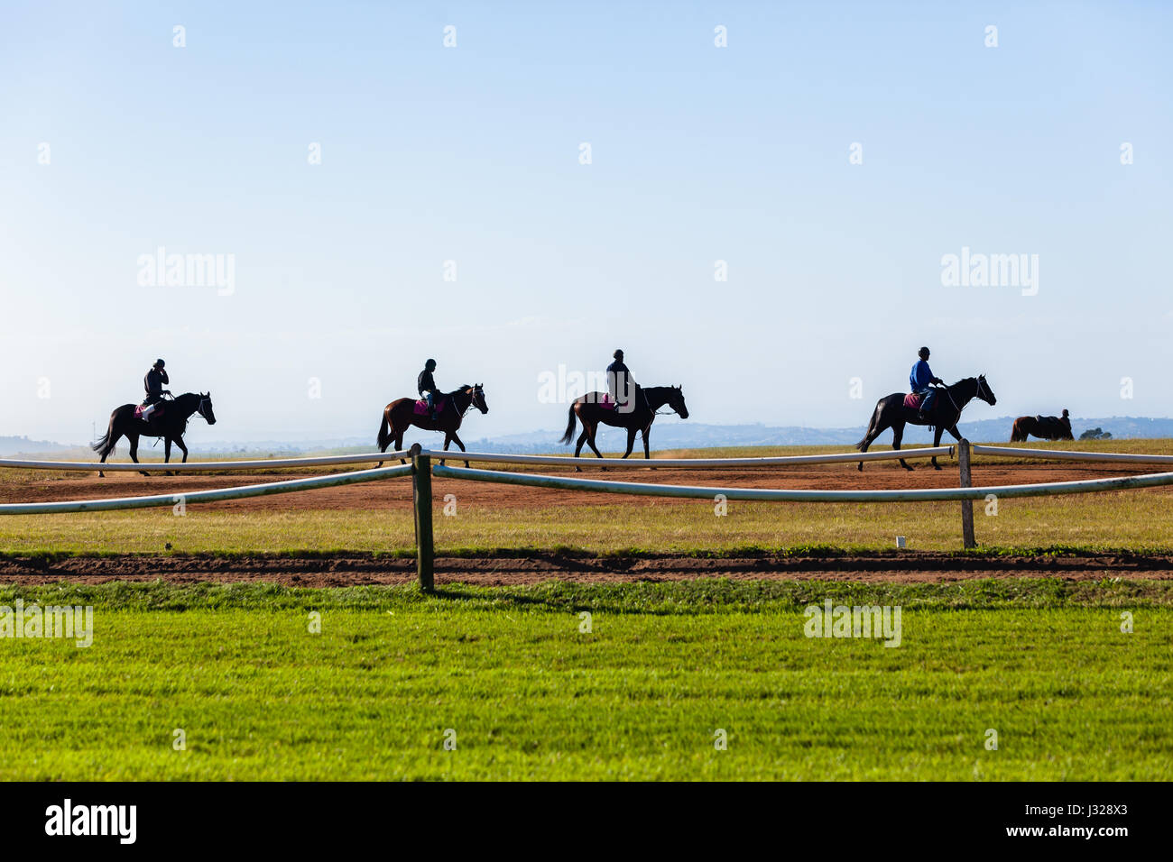 Race horses riders silhouetted countryside training track morning ...