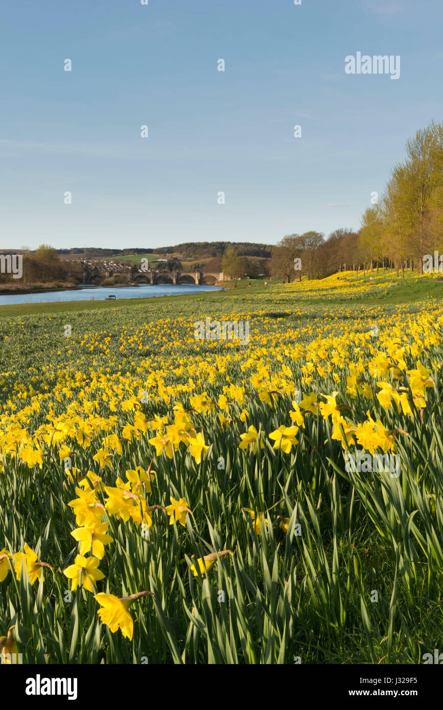 Riverside aberdeen hi-res stock photography and images - Alamy