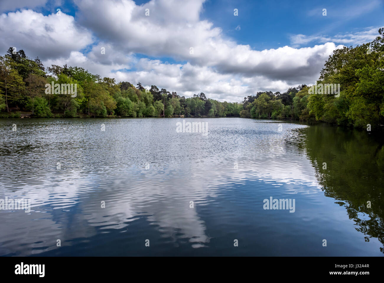 Douster pond hi-res stock photography and images - Alamy