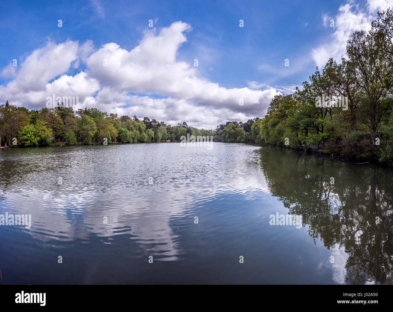 Douster Pond at Buchan Park in Crawley, West Sussex Stock Photo - Alamy