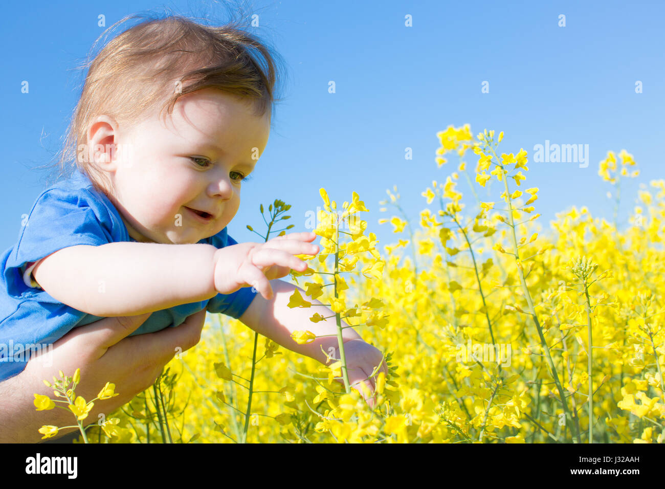 6 month old baby in a rape field Stock Photo - Alamy