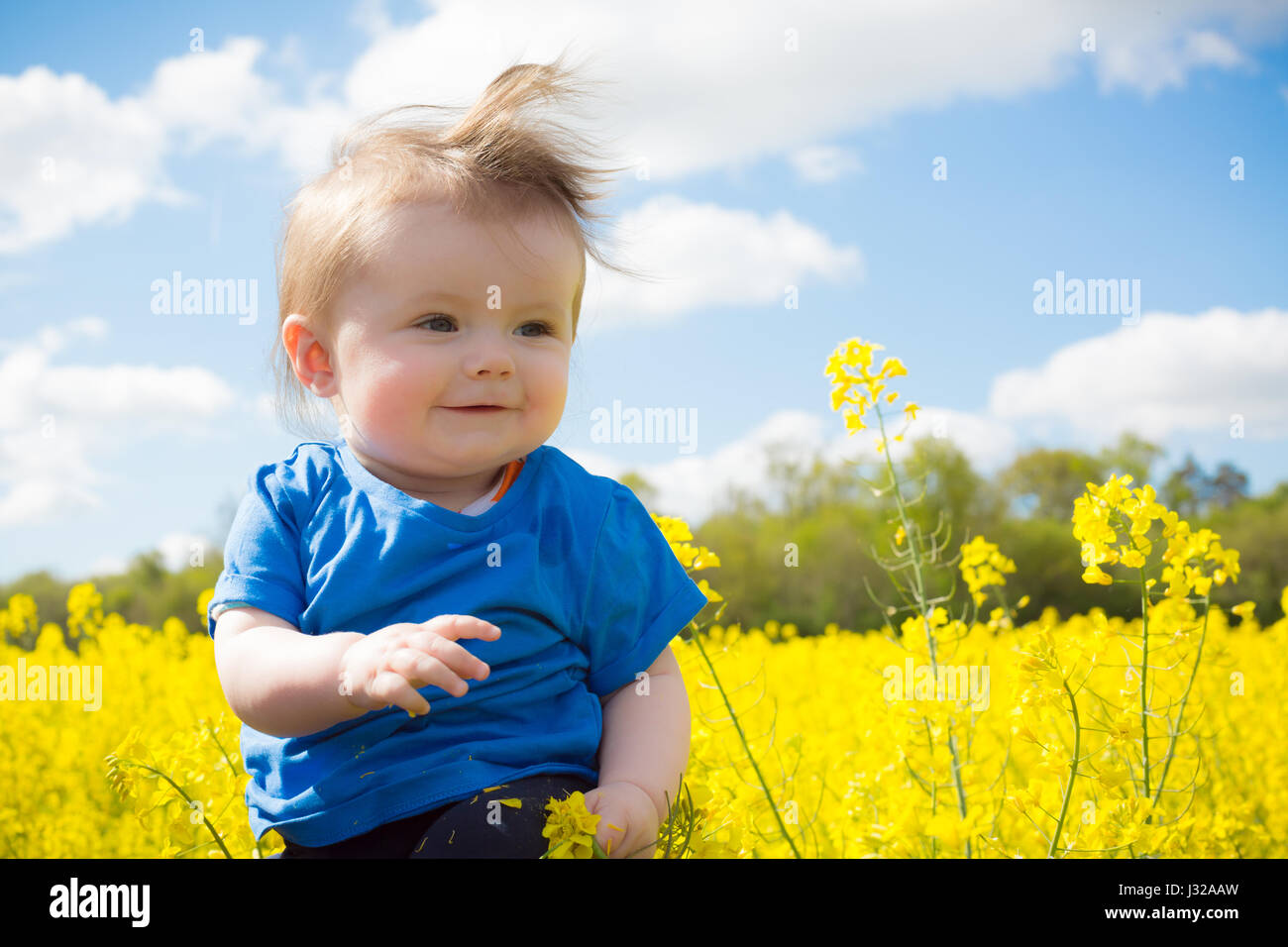 6 month old baby in a rape field Stock Photo - Alamy
