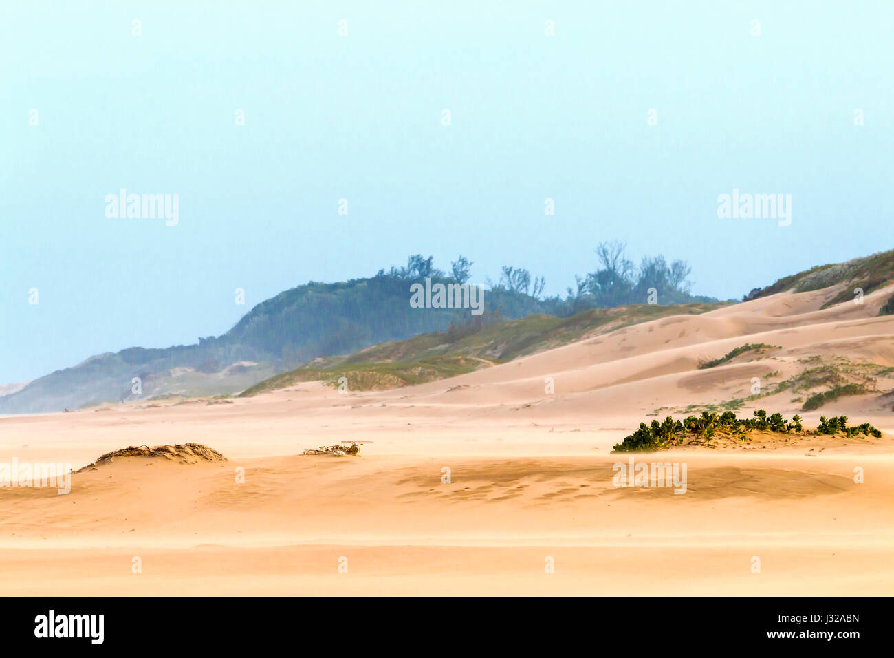Heavy wind blowing sand on beach against dune, vegetation and coastal ...