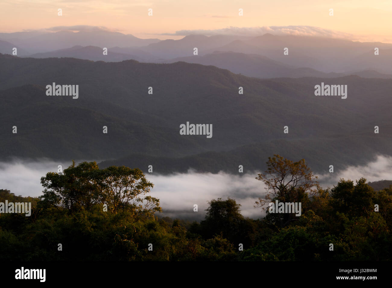 The mist cloud on mountain with forest Stock Photo - Alamy